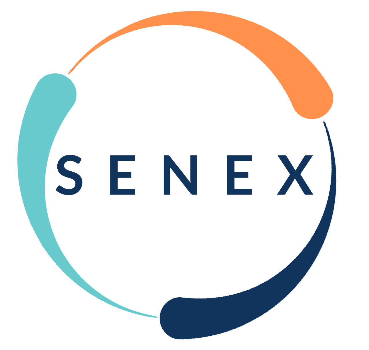 Senex srl